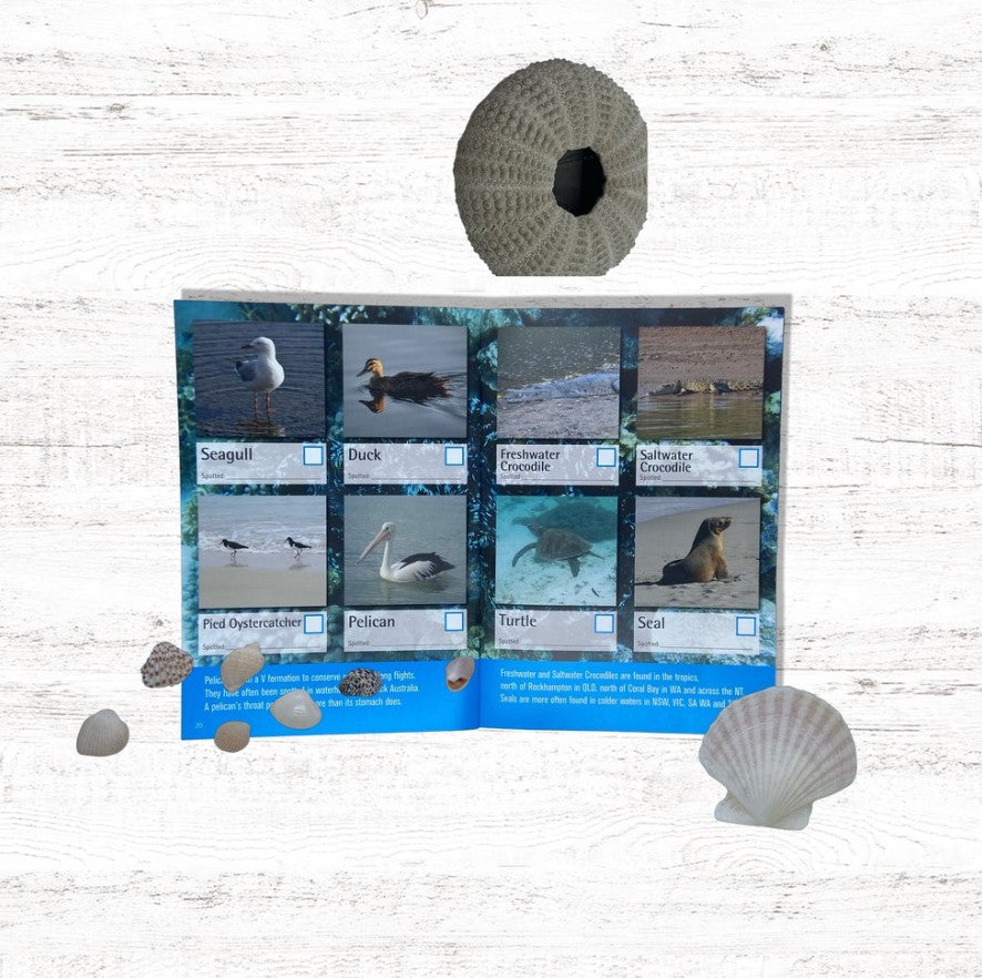 Spotto Book - Coastal — KombiLife Australia